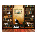 Literary cats poster | Zazzle