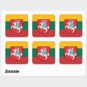Lithuanian Flag & Coat of Arms, Flag of Lithuania Square Sticker | Zazzle