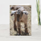 BABY GOAT IS NOT KIDDING AROUND ON BIRTHDAY FRIEND CARD | Zazzle.com