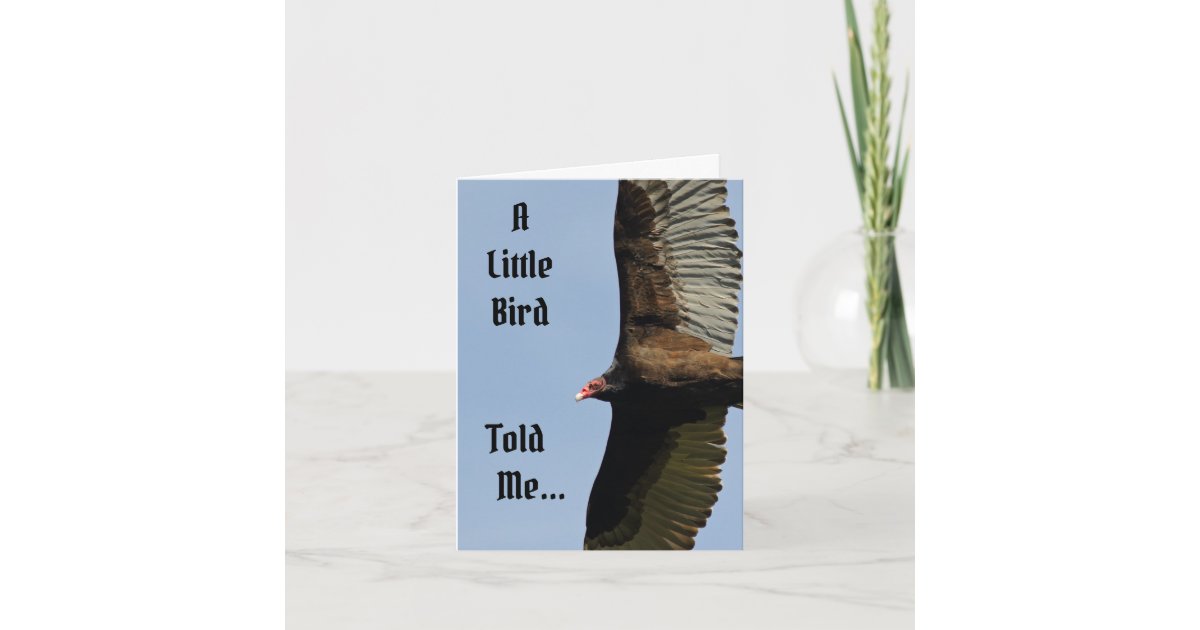 Little Bird Happy Birthday Card With Vulture | Zazzle