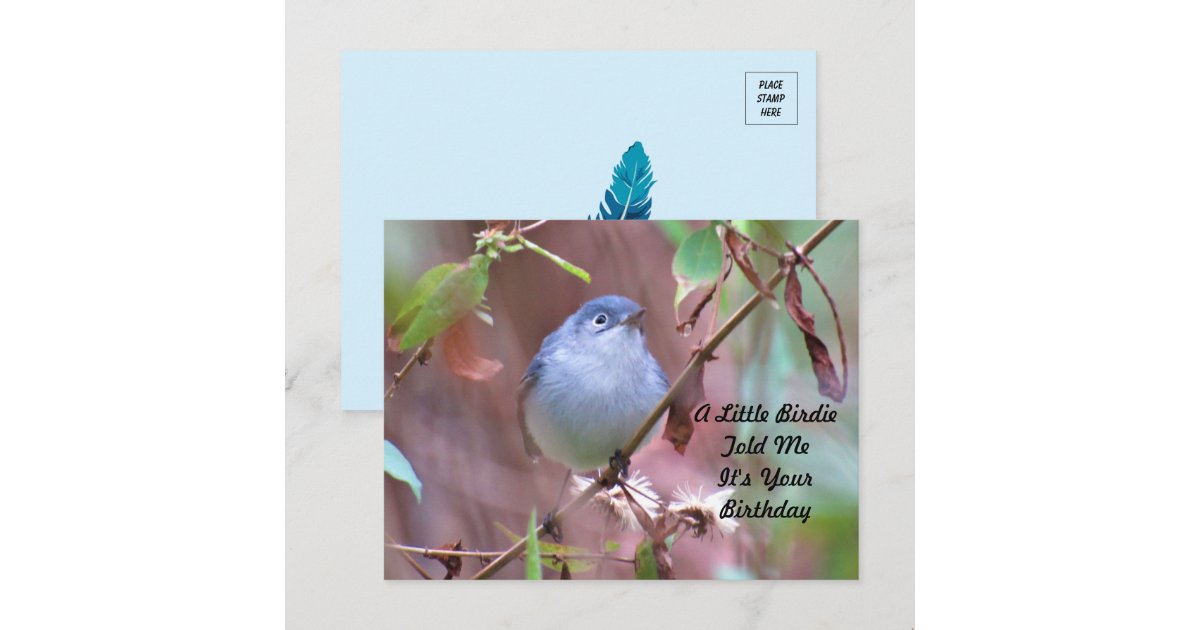 Little Birdie Birthday Postcard | Zazzle