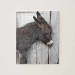 Donkey Jigsaw Puzzles | Zazzle