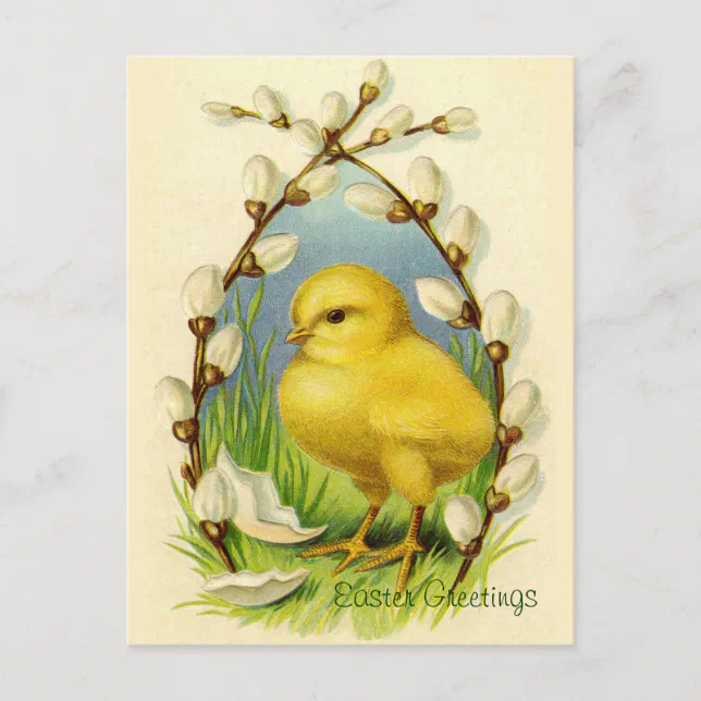 Little Easter Chick Vintage Postcard | Zazzle