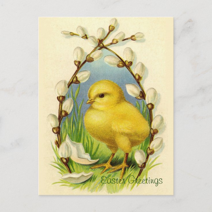 Little Easter Chick Vintage Postcard | Zazzle