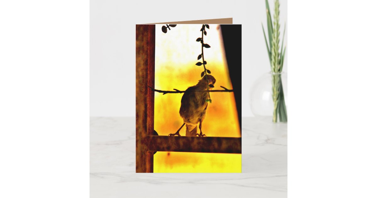 Little Finch Card | Zazzle