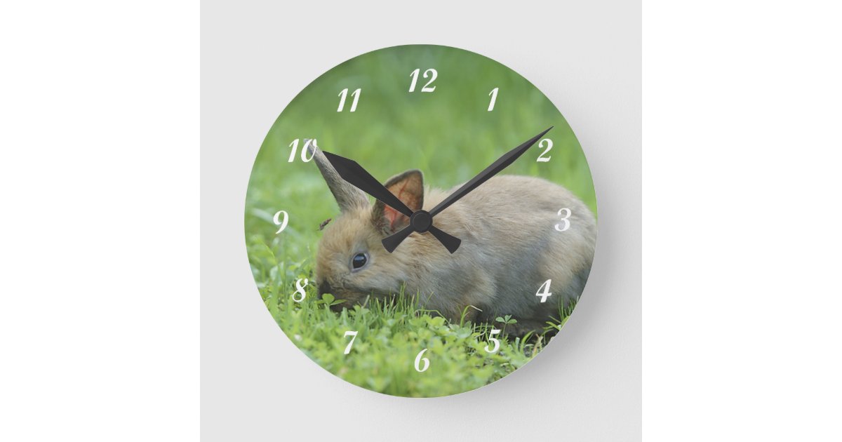 Little Gray Bunny Round Clock | Zazzle