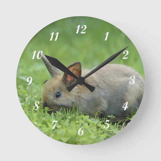 Little Gray Bunny Round Clock | Zazzle
