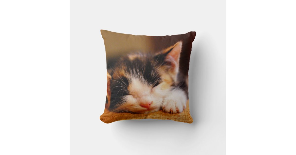 Little Kitty Sleeping Throw Pillow | Zazzle