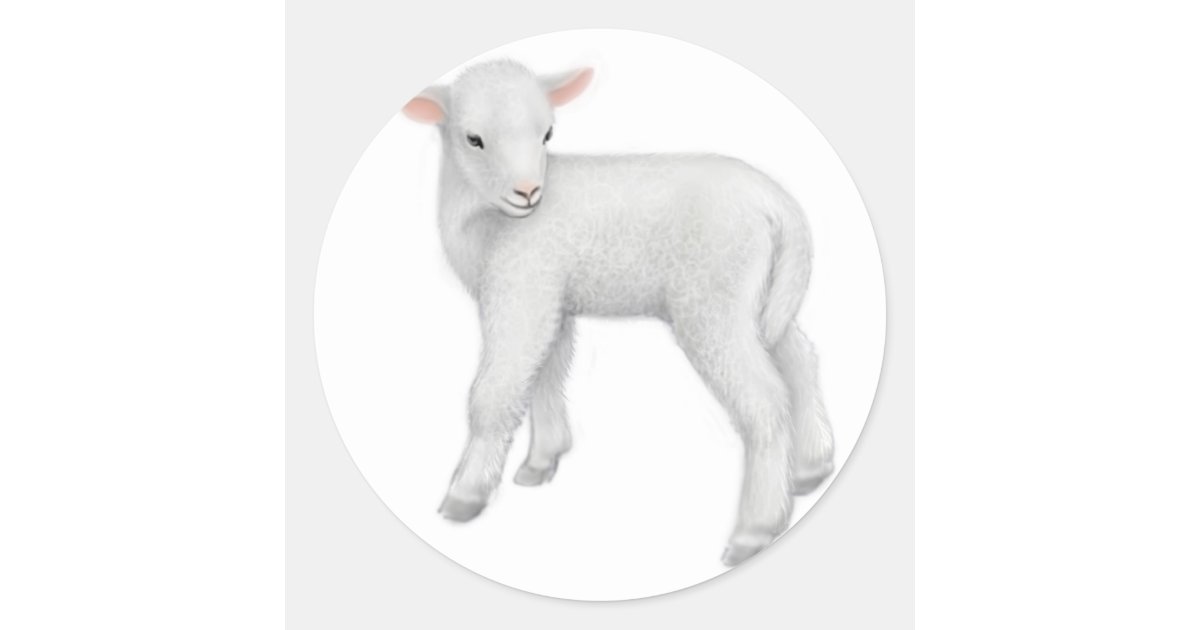 Little Lamb Sticker | Zazzle