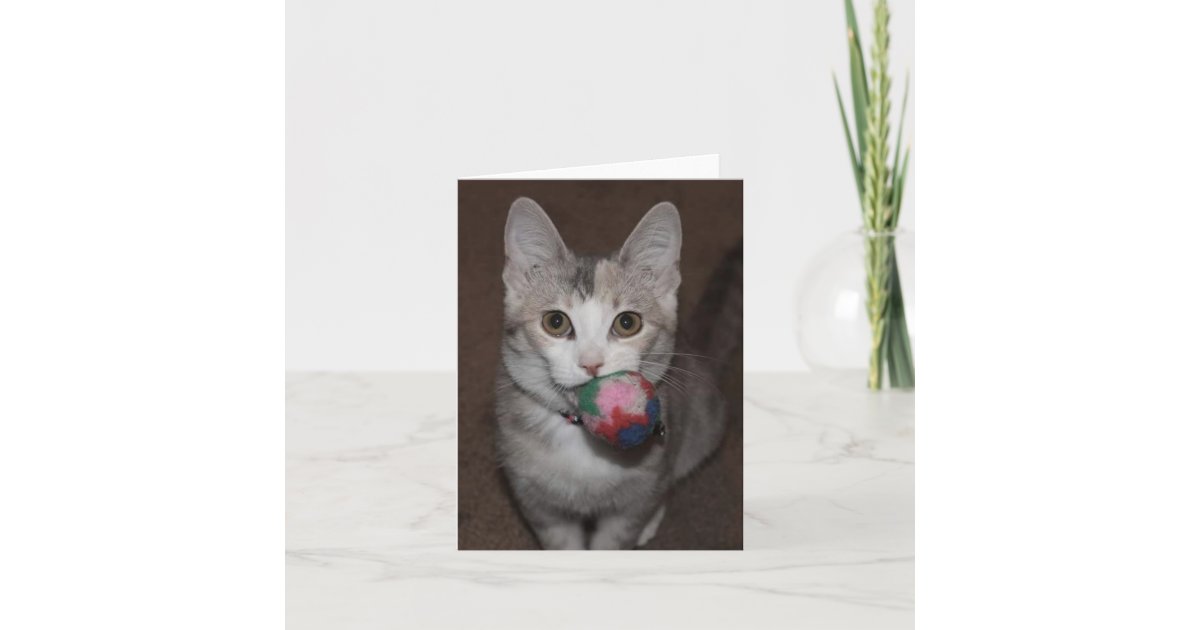 Little Muffin (note card) Card | Zazzle