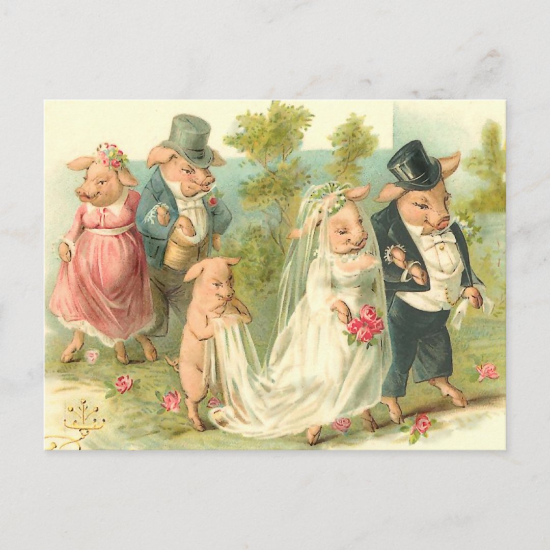 Little Piggy Wedding Postcard | Zazzle
