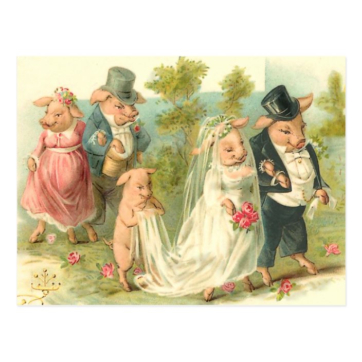 Little Piggy Wedding Postcard | Zazzle.com