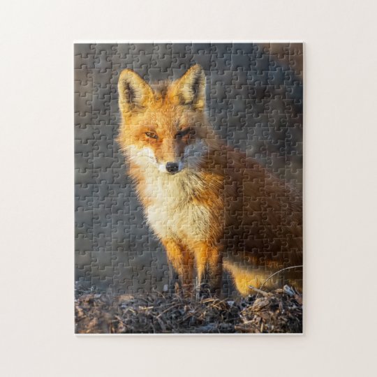 Little Red Fox Jigsaw Puzzle | Zazzle.com