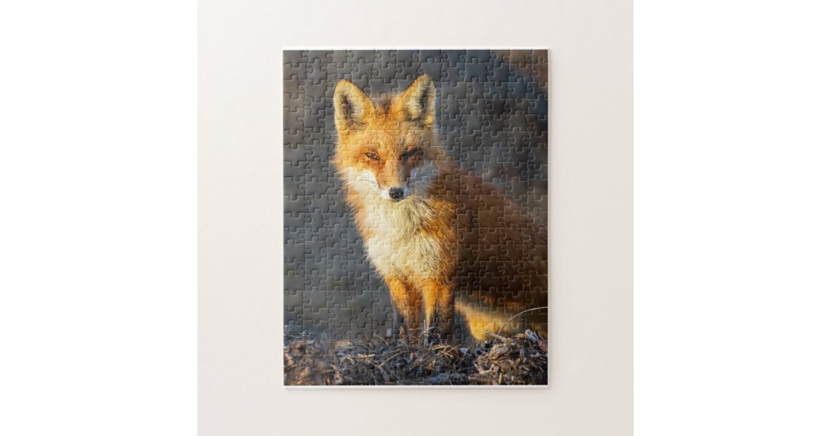 Little Red Fox Jigsaw Puzzle | Zazzle