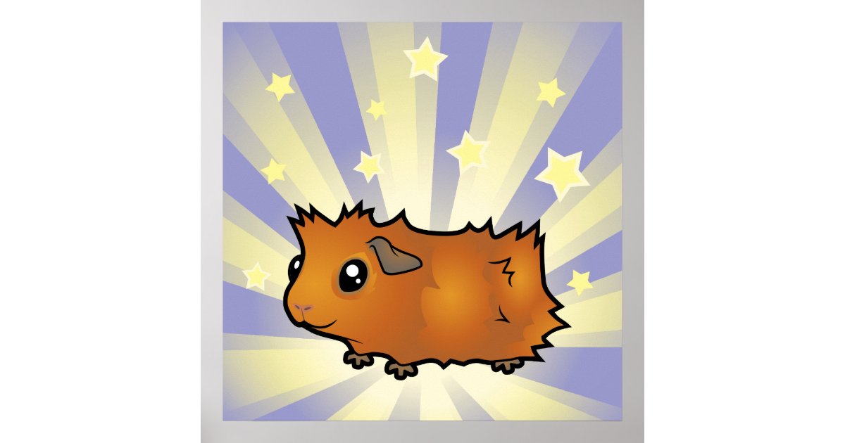 Little Star Guinea Pig (scruffy) Poster | Zazzle