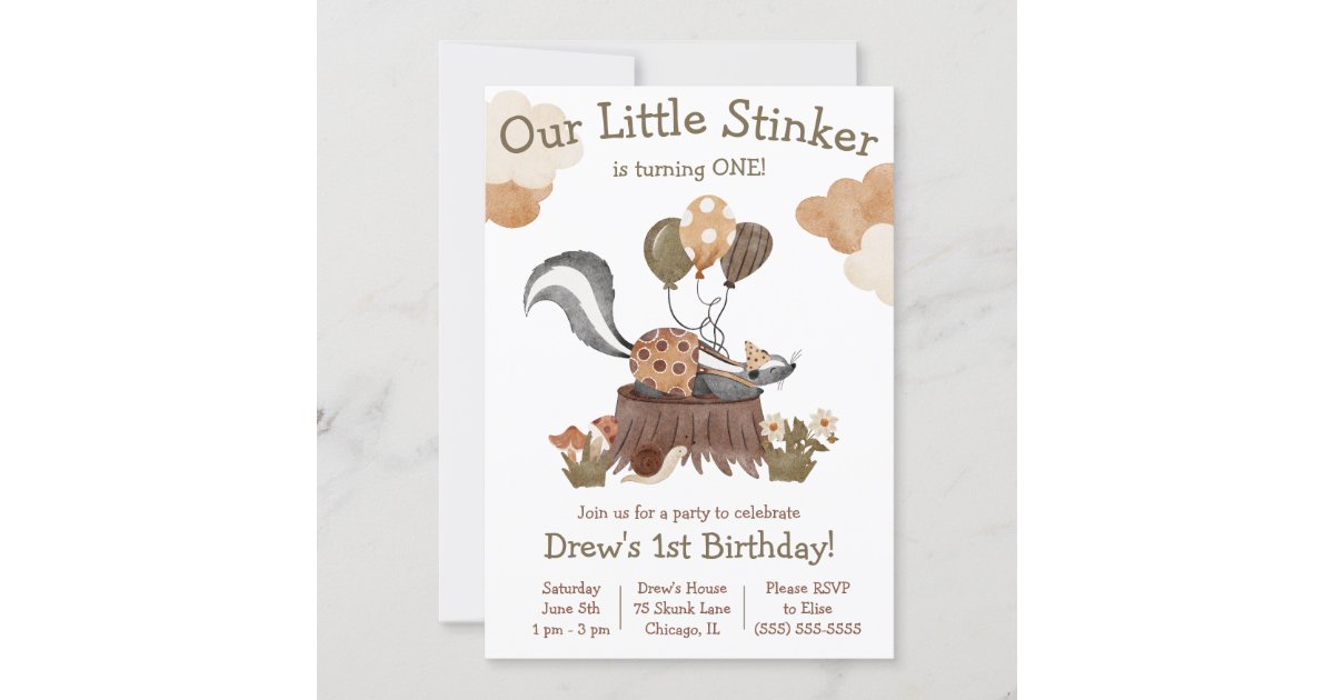 Little Stinker, Skunk, Woodland Birthday Party Invitation | Zazzle
