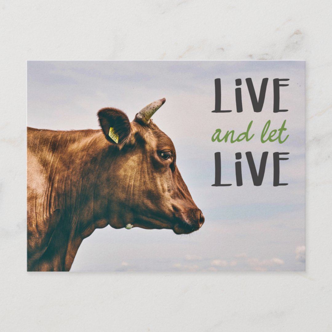 "Live and let live" vegan with brown cow Postcard | Zazzle