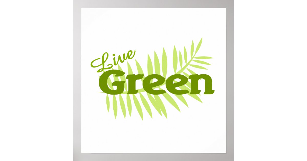 live green fern poster | Zazzle