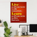 Live & Learn Poster | Zazzle