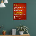 Live & Learn Poster | Zazzle