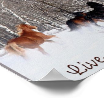 Live Life.....Like someone left the gate open! Poster | Zazzle