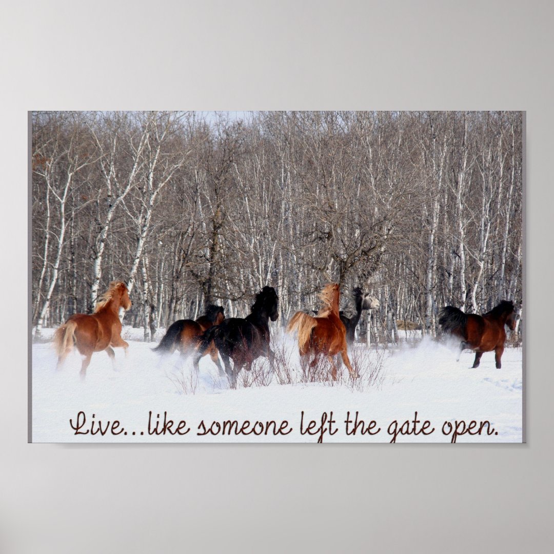 Live Life.....Like someone left the gate open! Poster | Zazzle