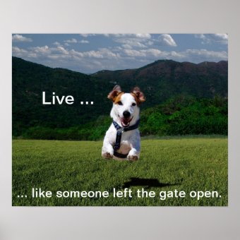 Live Like Someone Left the Gate Open Poster | Zazzle