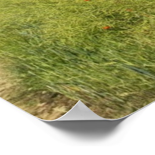 Live Like Someone Left the Gate Open Poster | Zazzle