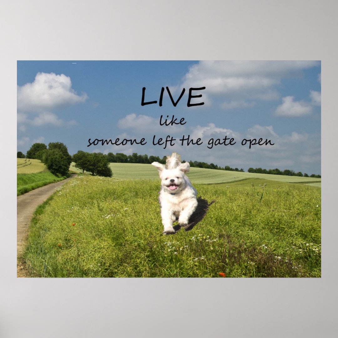 Live Like Someone Left the Gate Open Poster | Zazzle