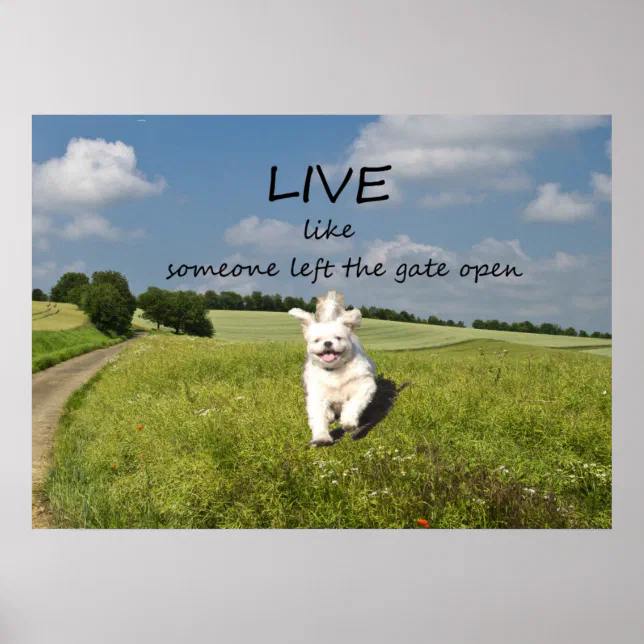 Live Like Someone Left the Gate Open Poster | Zazzle