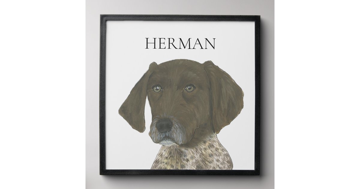 Liver and White German Shorthaired Pointer Art Peel And Stick Photo ...
