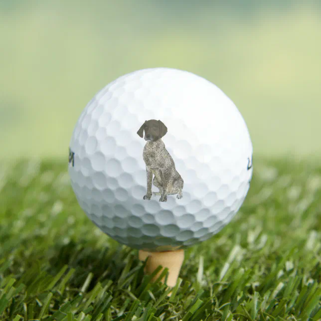 Liver and White German Shorthaired Pointer Golf Balls | Zazzle