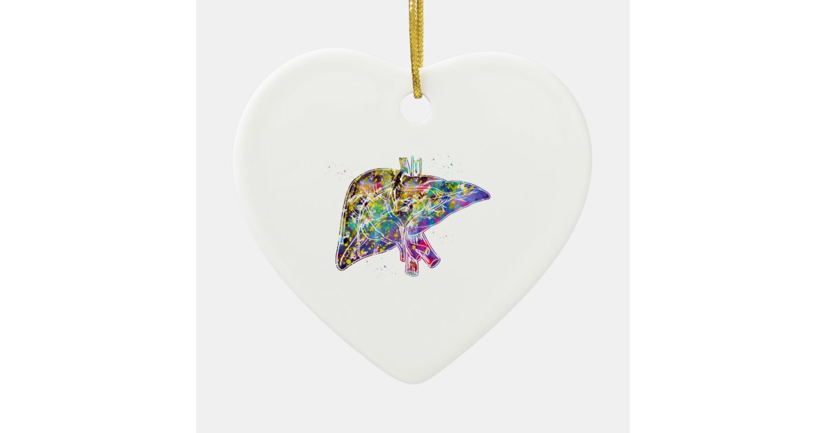Liver Ceramic Ornament | Zazzle