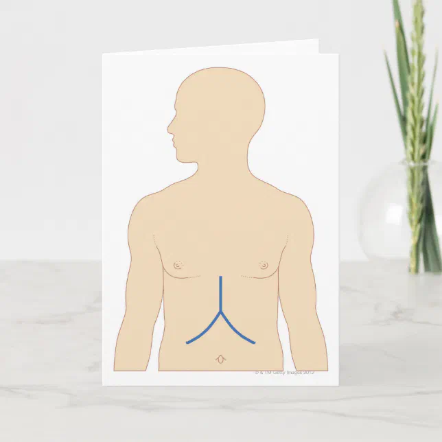 Liver Transplant Card | Zazzle