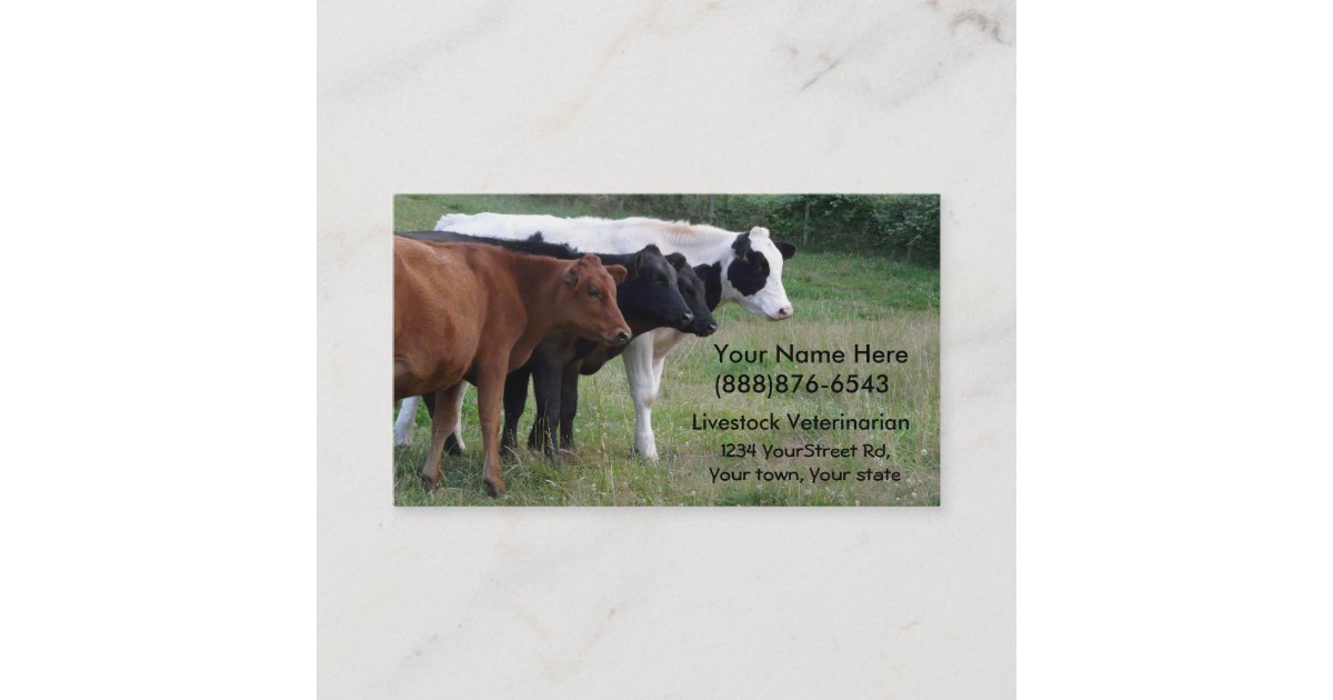 Livestock Veterinarian or Cattle Services Card | Zazzle.com