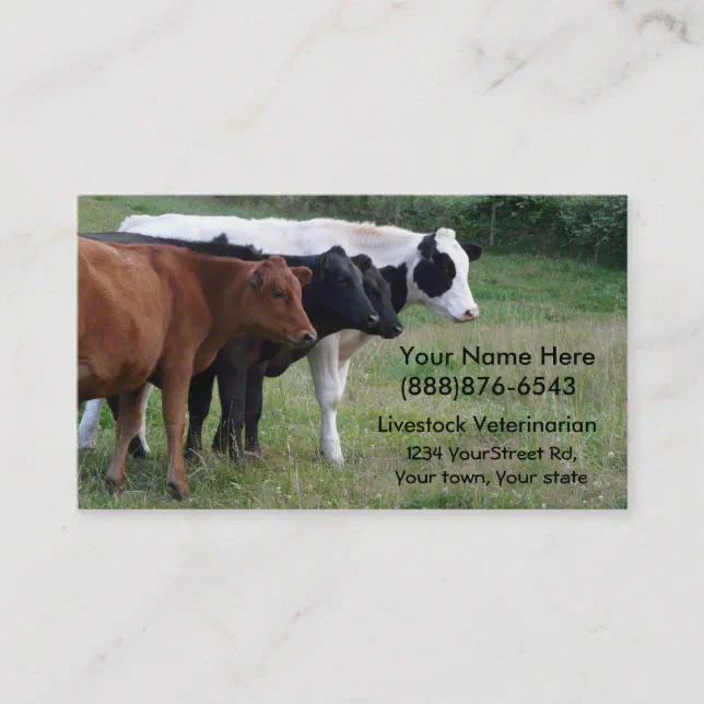 Livestock Veterinarian or Cattle Services Card | Zazzle