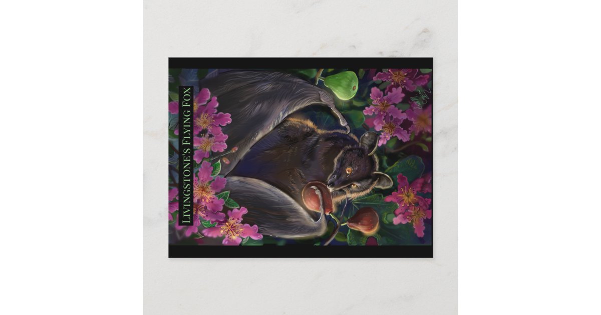 Livingstone Flying Fox Postcard | Zazzle
