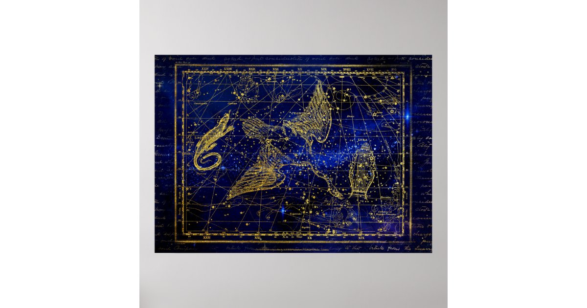 lizard and swan constellation poster | Zazzle