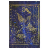 lizard and swan constellation tissue paper | Zazzle