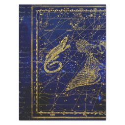 lizard and swan constellation tissue paper | Zazzle