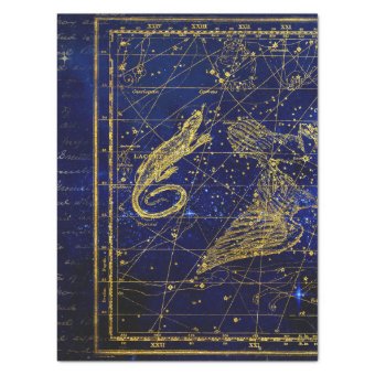 lizard and swan constellation tissue paper | Zazzle