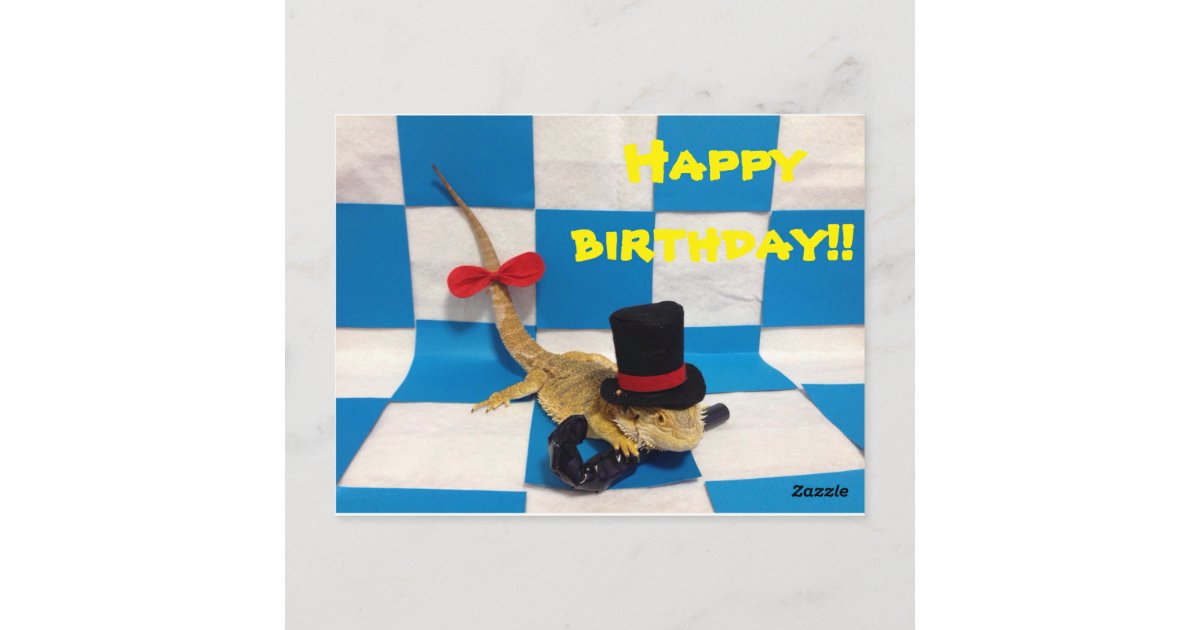 ☆lizard birthday card ☆ | Zazzle