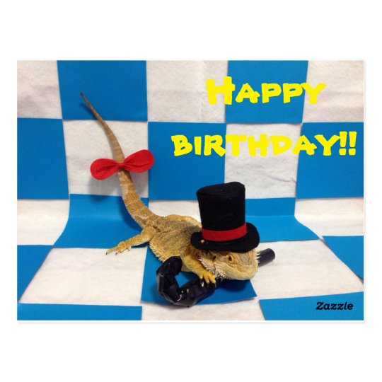 ☆lizard birthday card * | Zazzle.com
