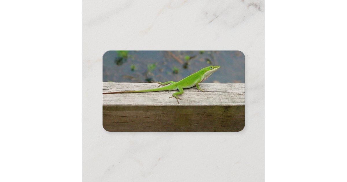 Lizard Business Cards | Zazzle