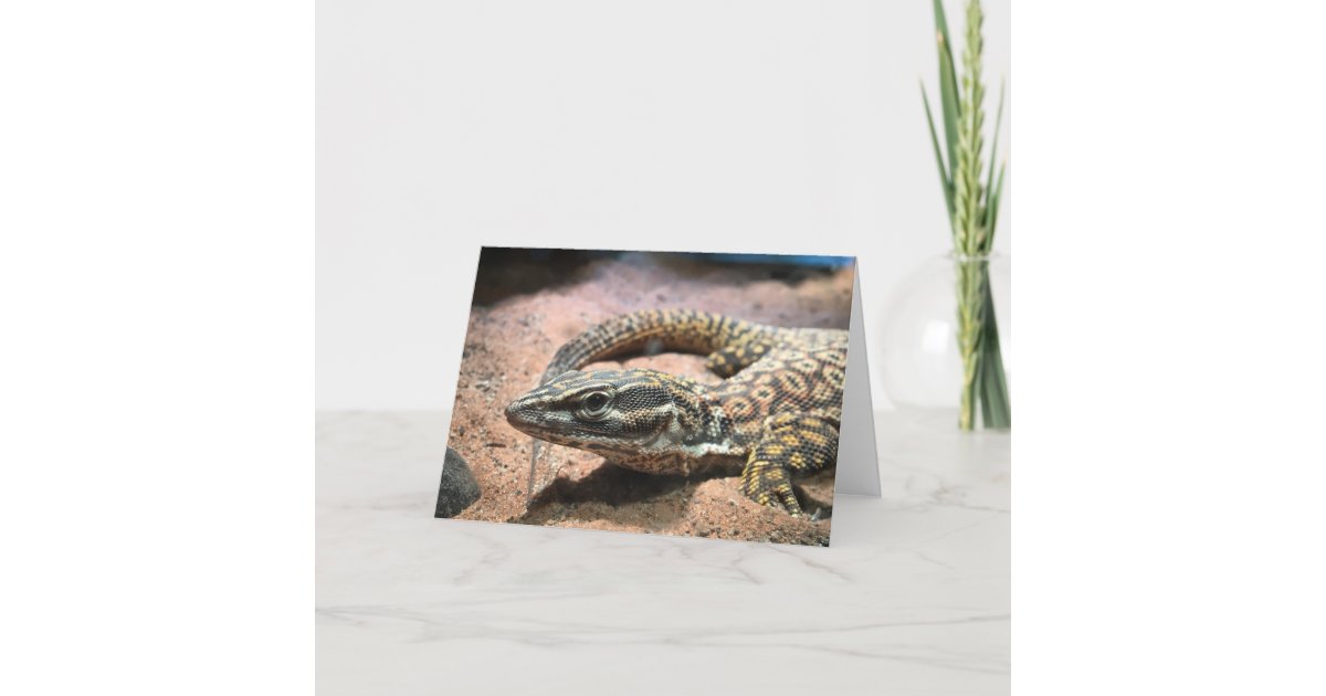 lizard greeting card (message inside) | Zazzle