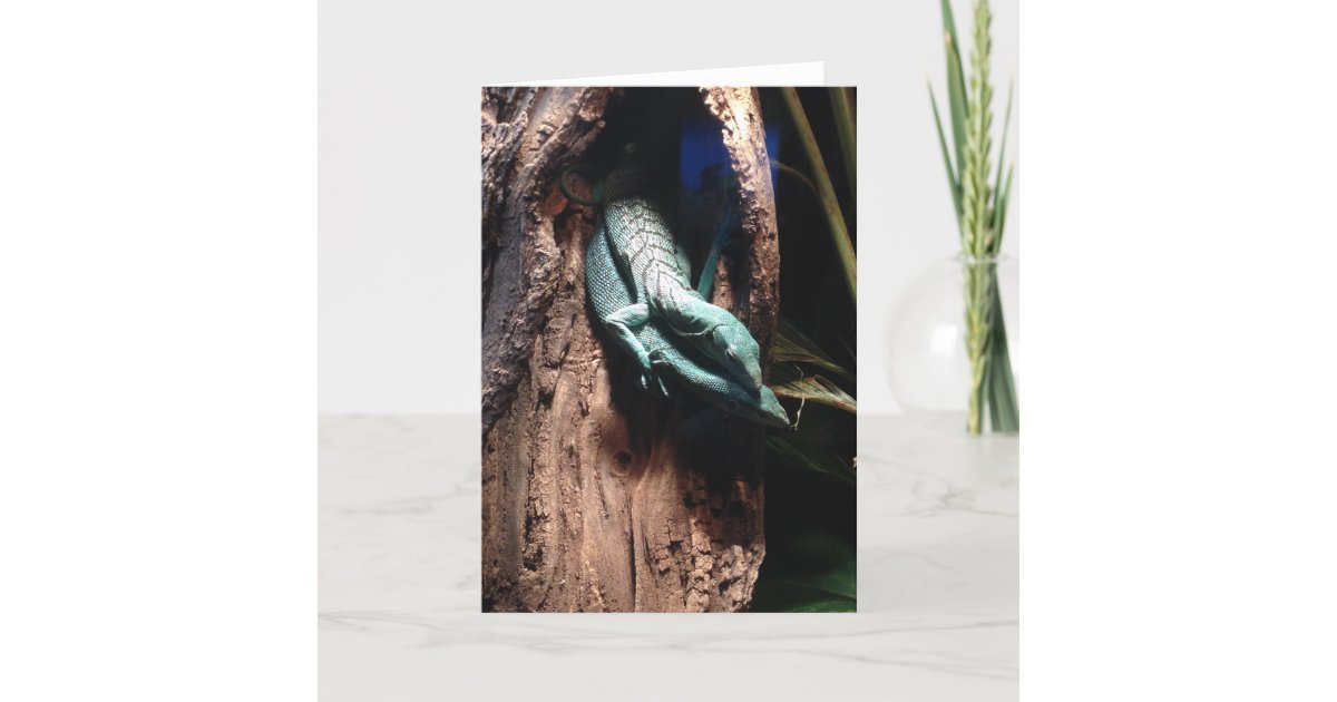 lizard hug greeting card | Zazzle