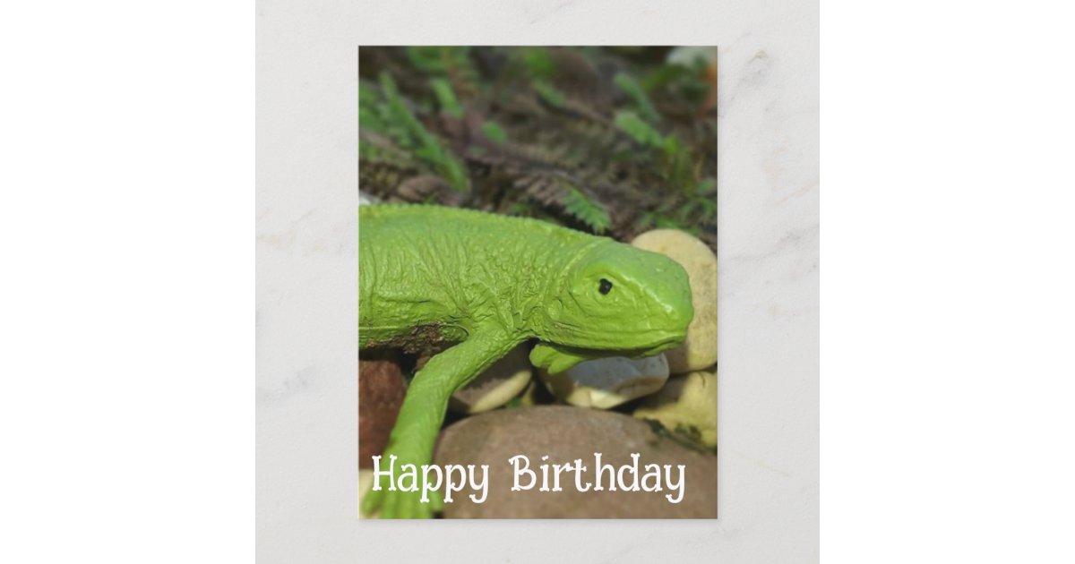 Lizard in the Garden Happy Birthday Postcard | Zazzle