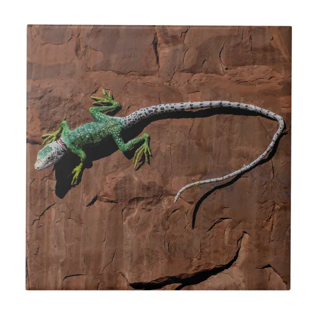 Lizard on a wall tile | Zazzle