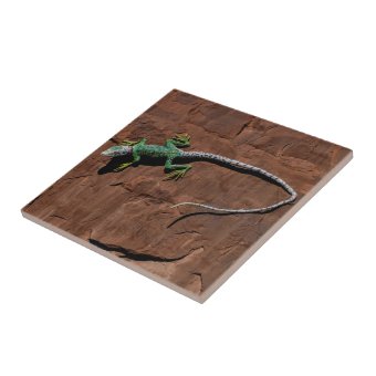 Lizard on a wall tile | Zazzle
