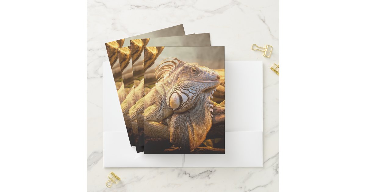 Lizard Pocket Folder | Zazzle